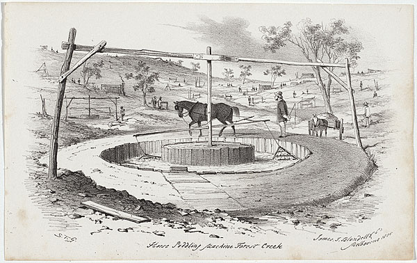 Horse puddling machine, Forest Creek. (1855 – 1855-56) by S.T. Gill ...