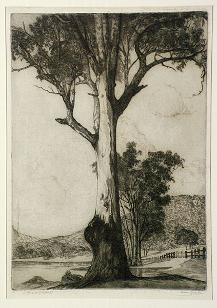 A monarch of the bush (1931) by Bruce Robertson (1872–1943 ...